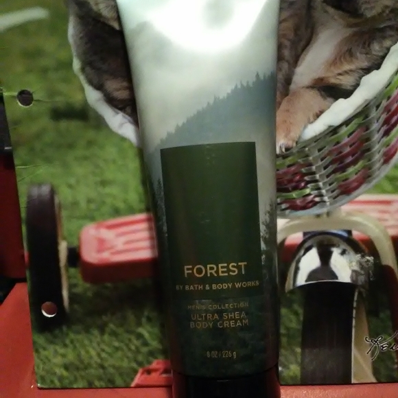 Bath & Body Works | Other | Bath Body Works Mens Forest Body Cream ...